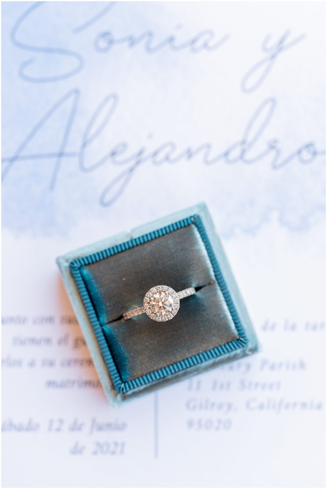 Gilroy Gardens Wedding | Gilroy Wedding Photographer | Sonia + Alex